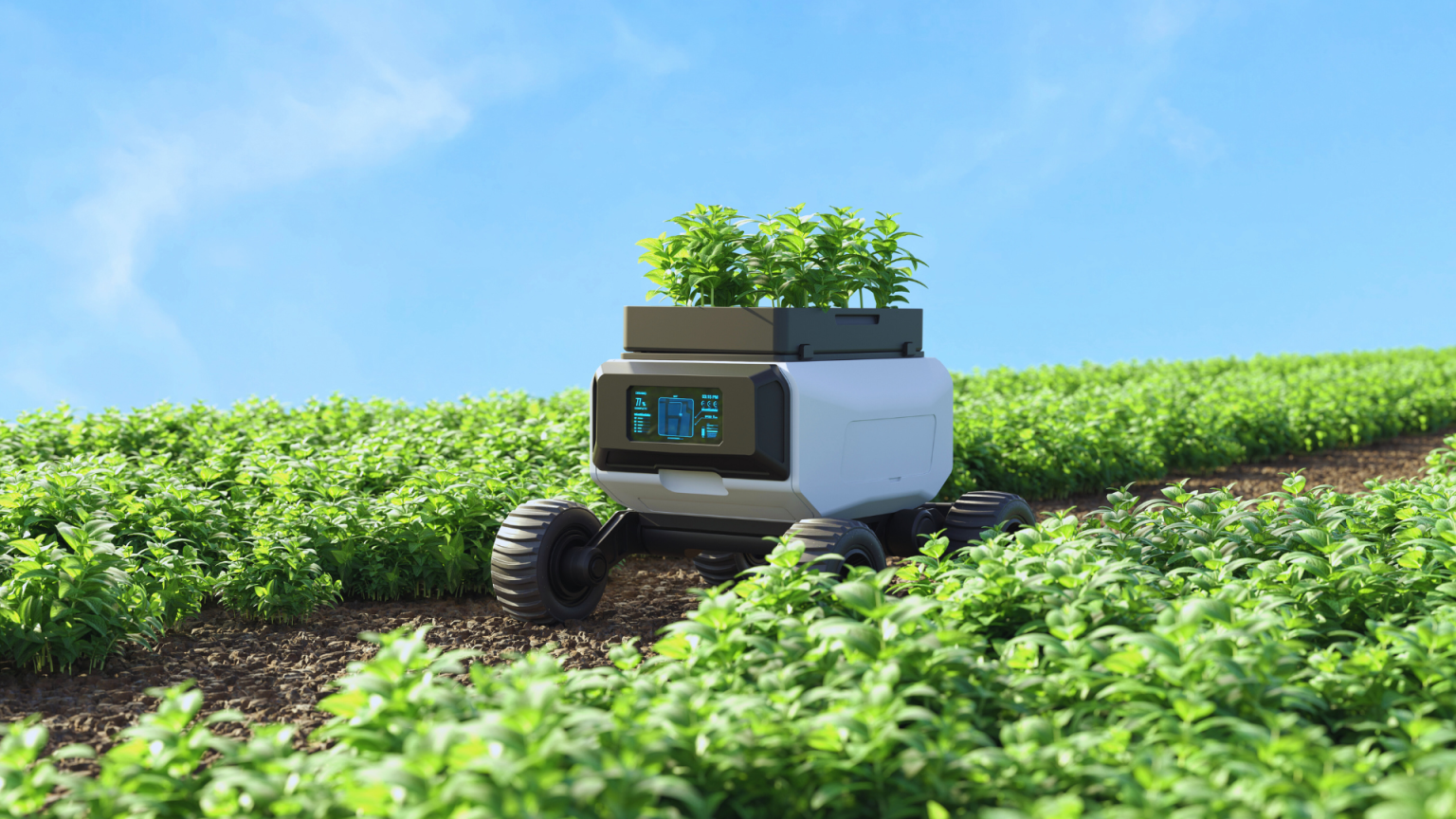 The Intersection of AI and Organic Agriculture: Innovations for ...